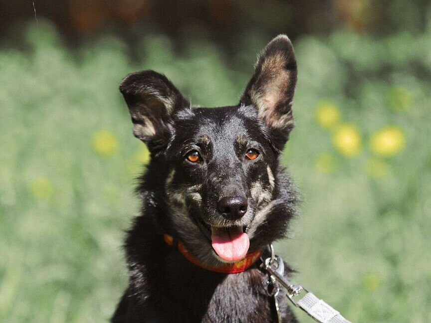 Стеша ищет семью