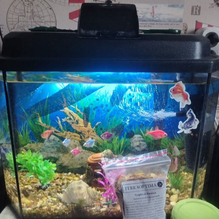 Аквариум с рыбками