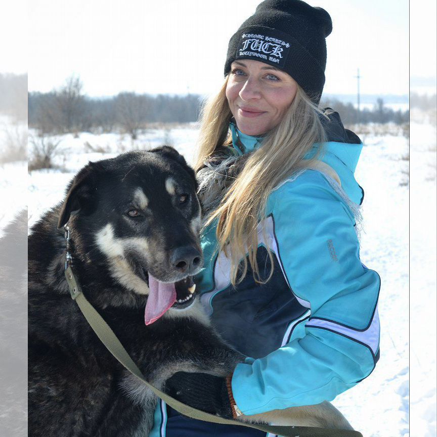 Собака в добрые руки,кобель, отдам бесплатно