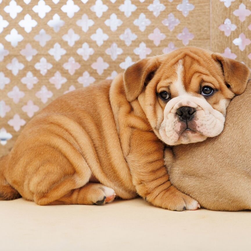 Малышка Барби