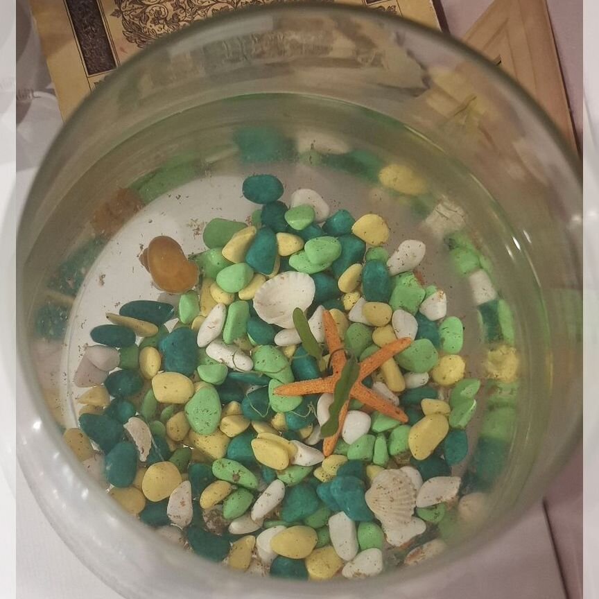 Акварим 5 л виде бокала с ампулярией и грунтом