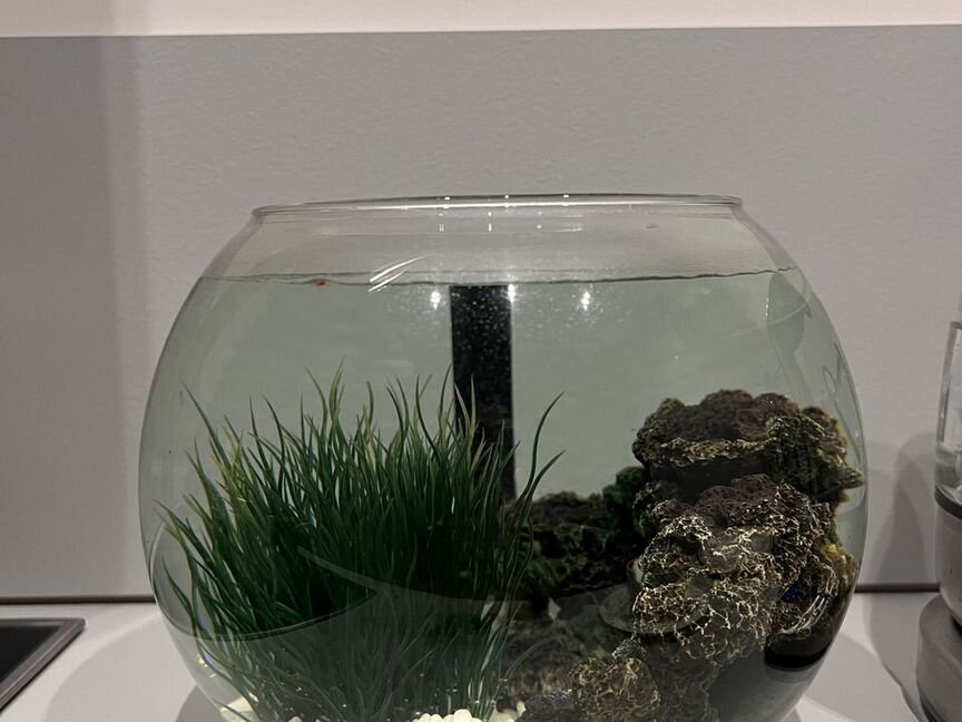 Шаровая ваза /Аквариум круглый 6'8 литров