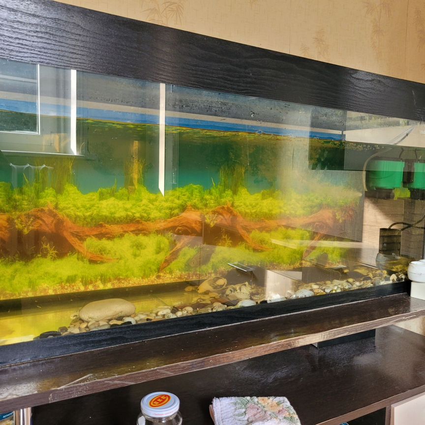 Самодельный аквариум 200л