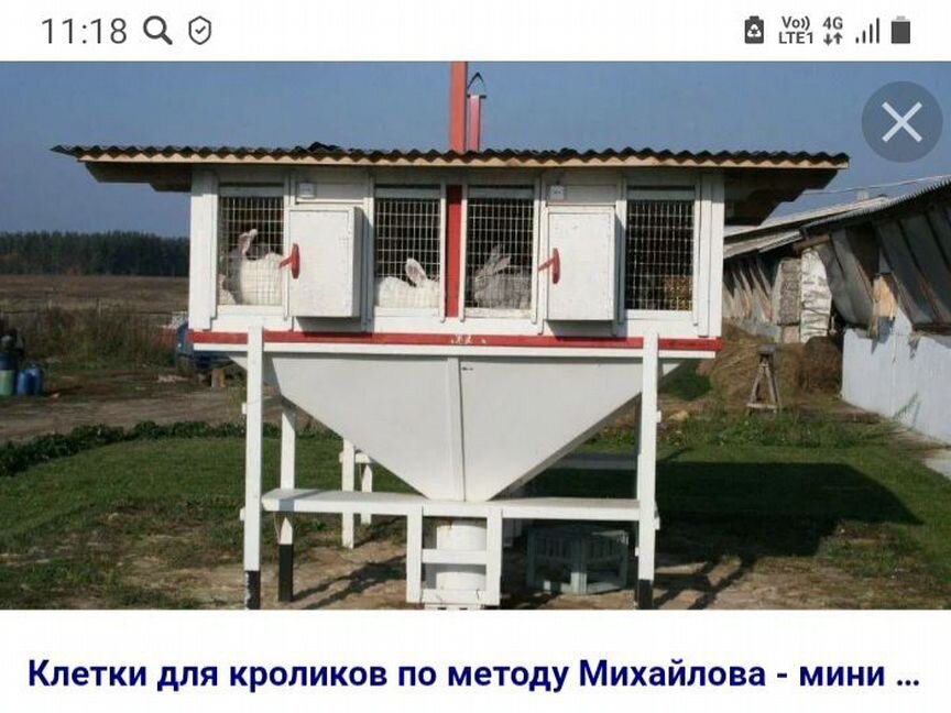 Мини-ферма для кроликов