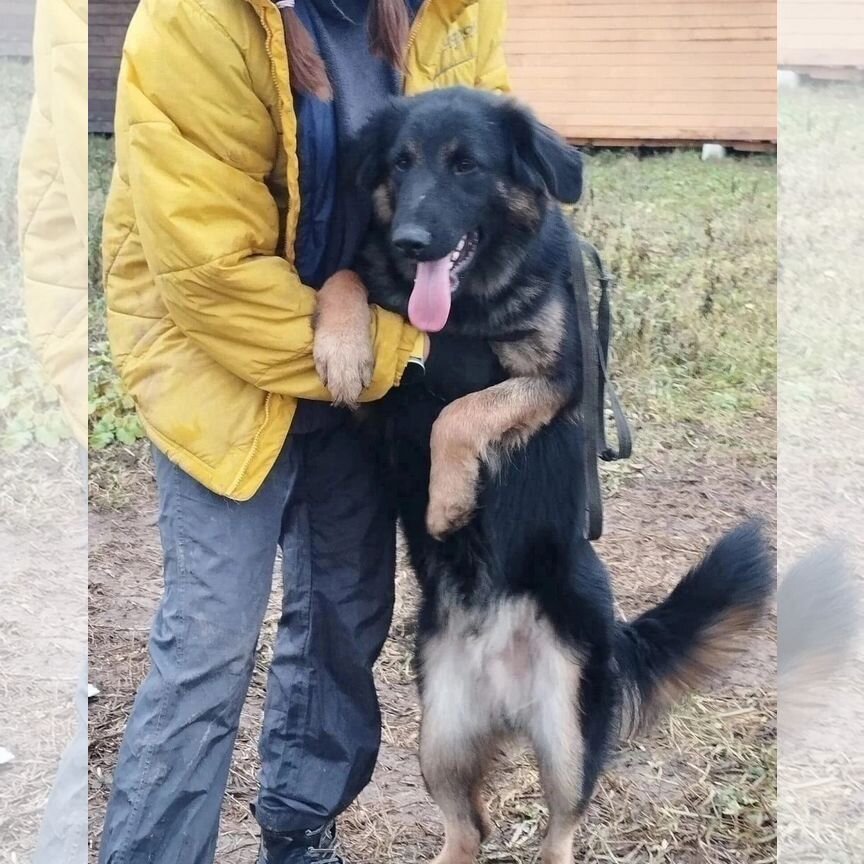 Босс очень ждёт свою любящую семью