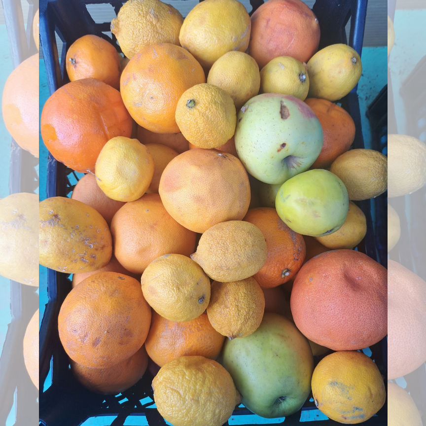 Корма для животных