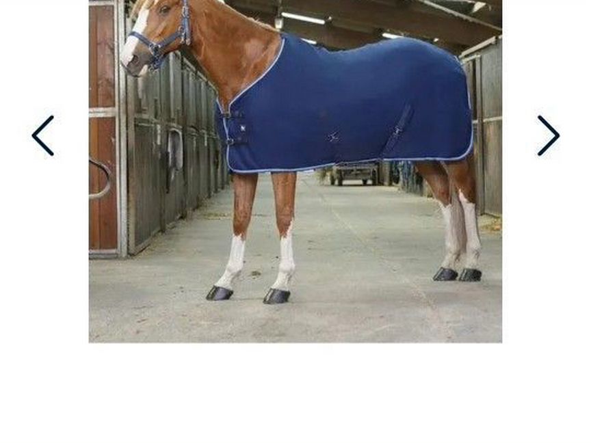 Прогулочная накитка Попона для лошадь