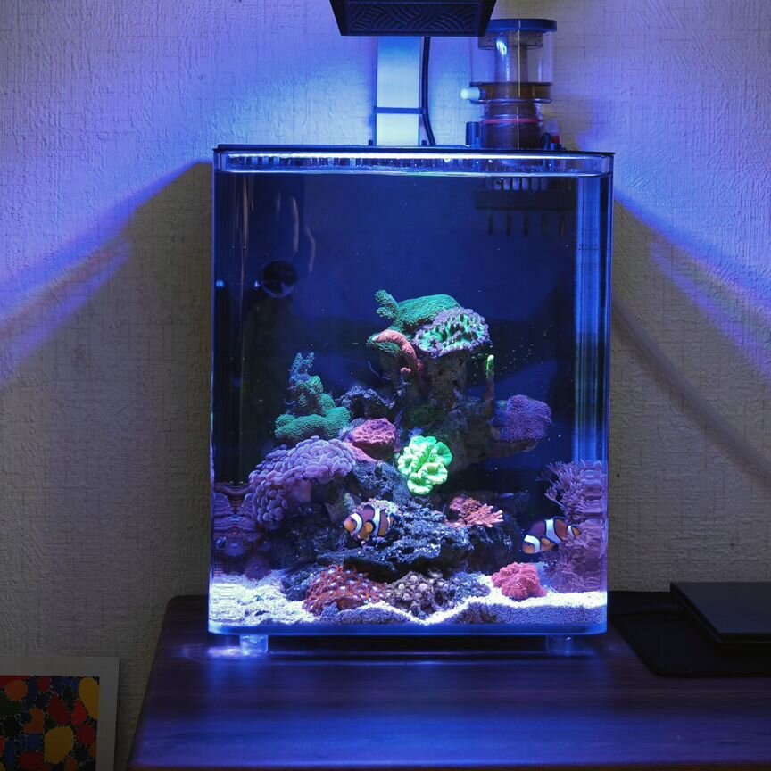 Морской аквариум 16л