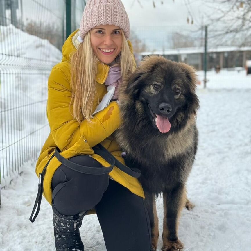 Добрейший Пушок ждёт хозяина в приюте