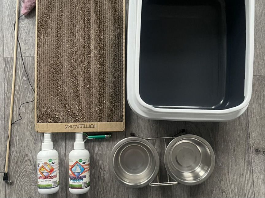 Кошачий набор