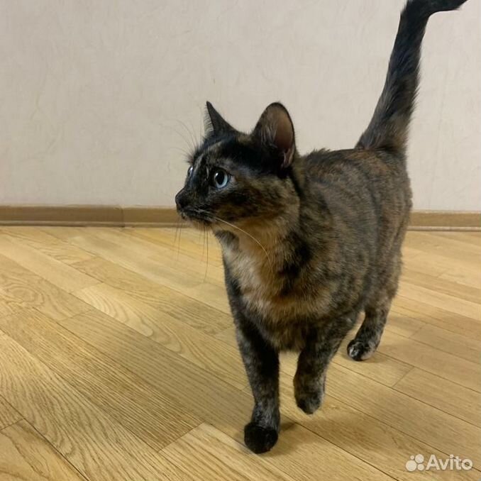 Девочка Маруся ищет дом