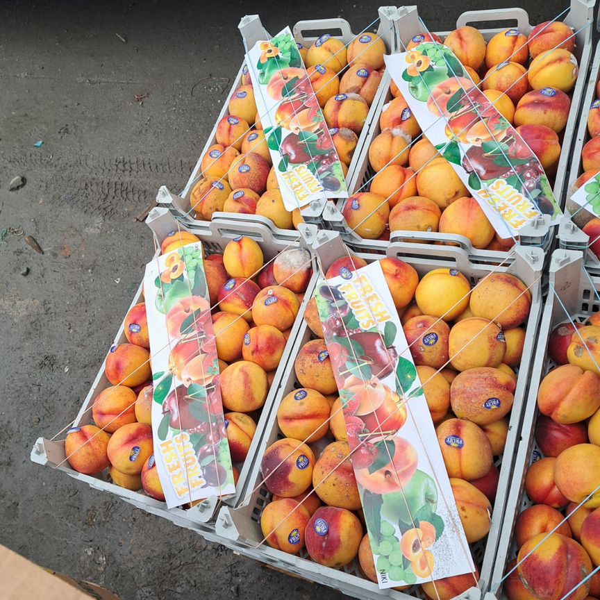 Корма для сельскохозяйственных