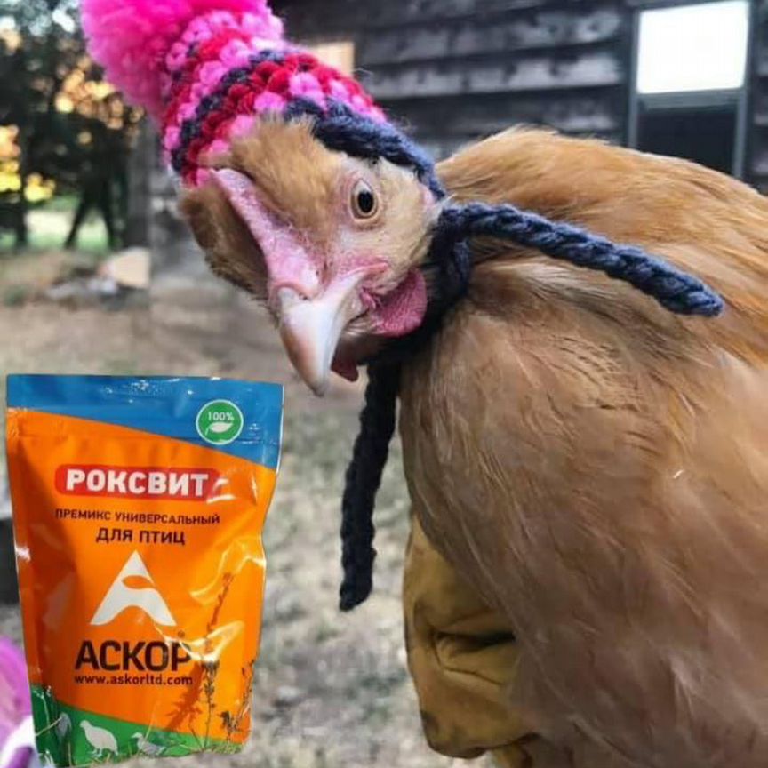 Премиксы для Птиц