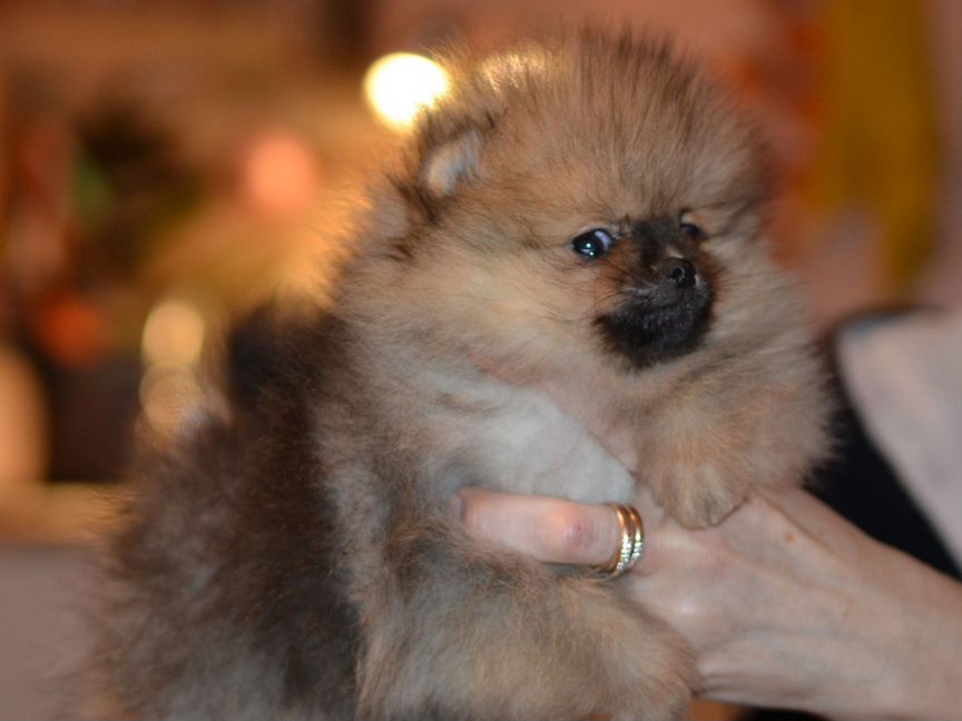 Суперский Татошка