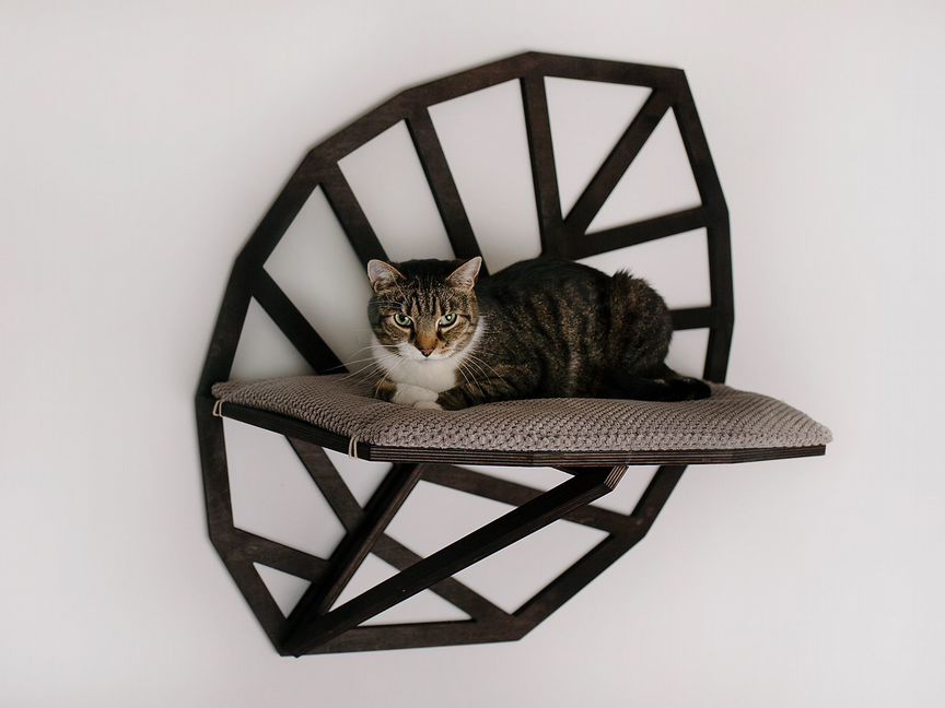 Настенная полка для кошек