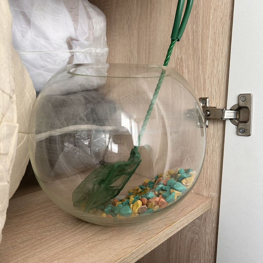 Аквариум на 5 литров