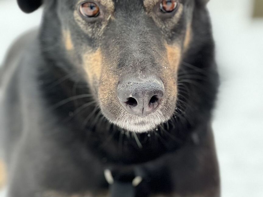 Берту многие годы не видят