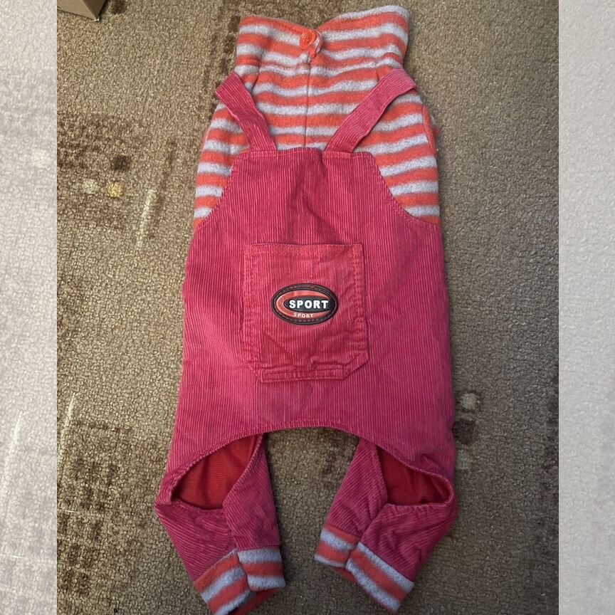 Одежда для собак мелких пород бу