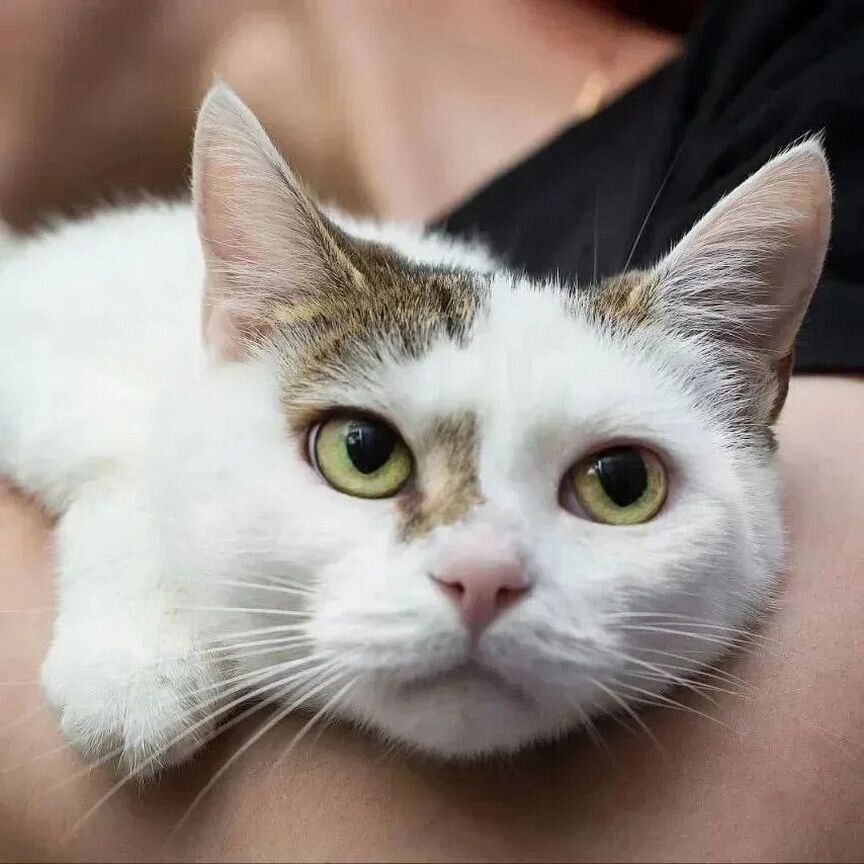 Стесняется но хочет домой