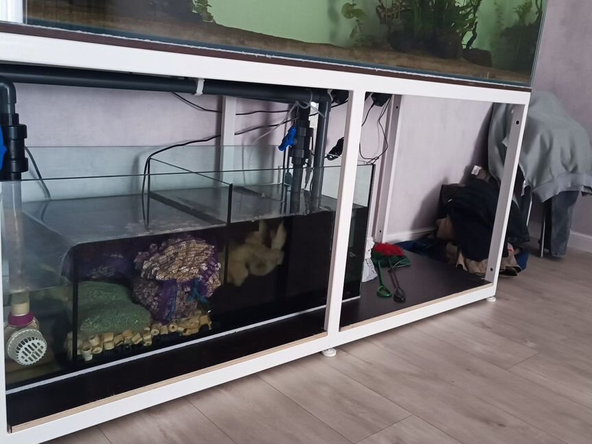 Аквариум+самп