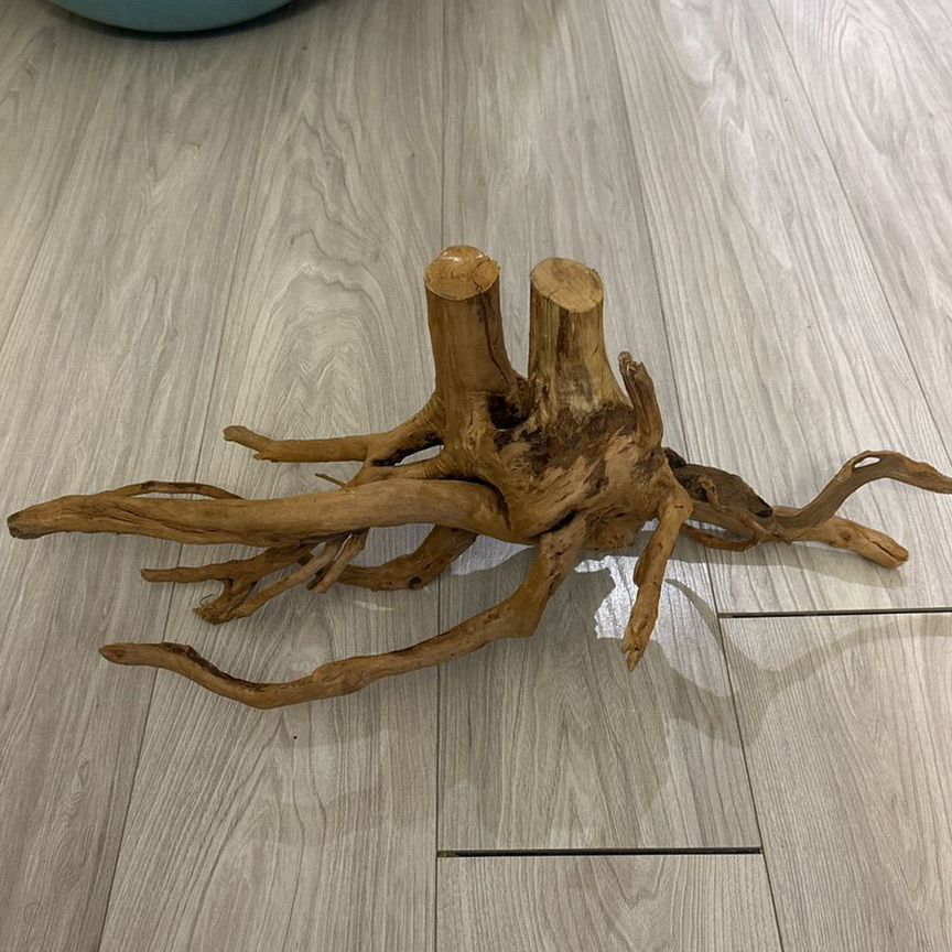 Коряга мангровая в террариум