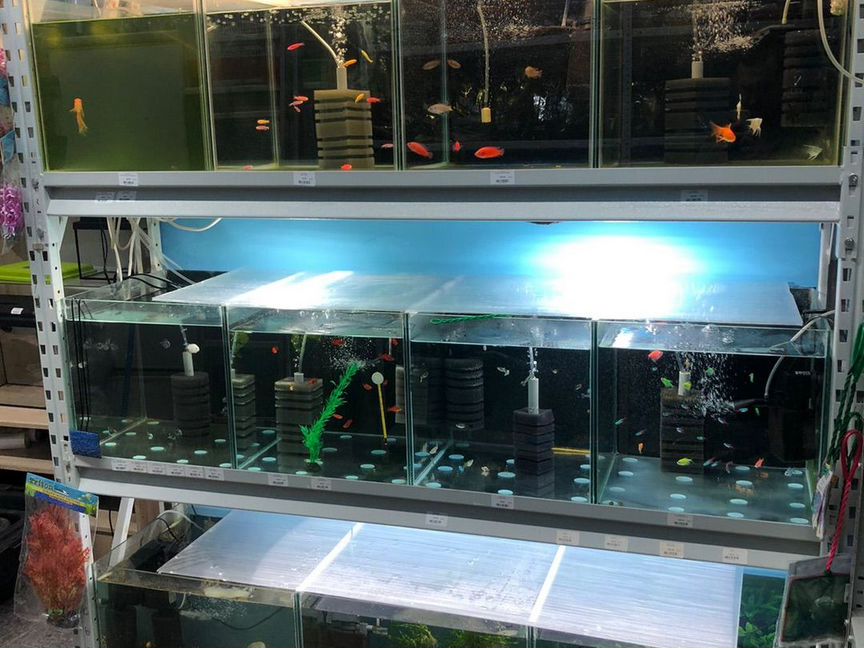 Аквариумная стойка