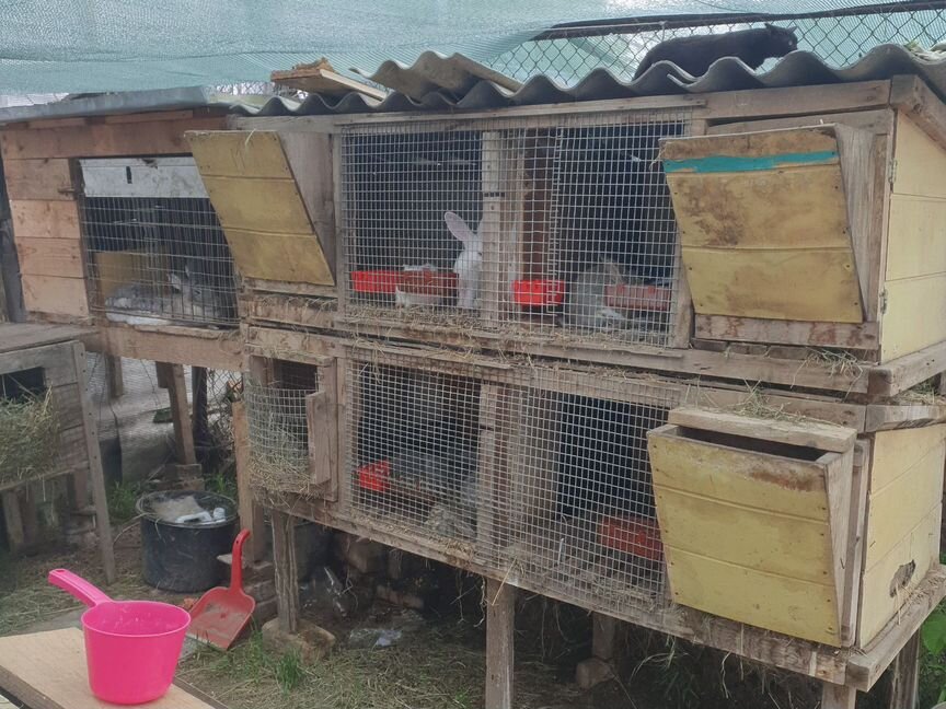 Кролятники