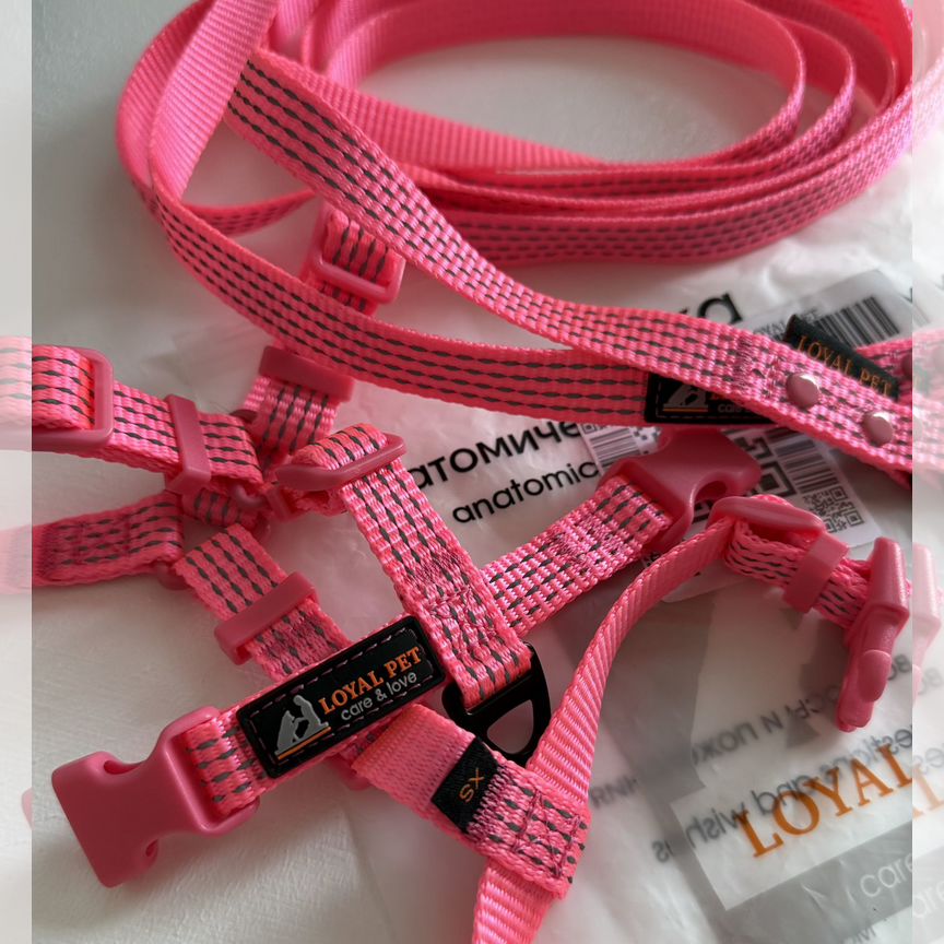 Анатомическая шлейка Loyal Pet