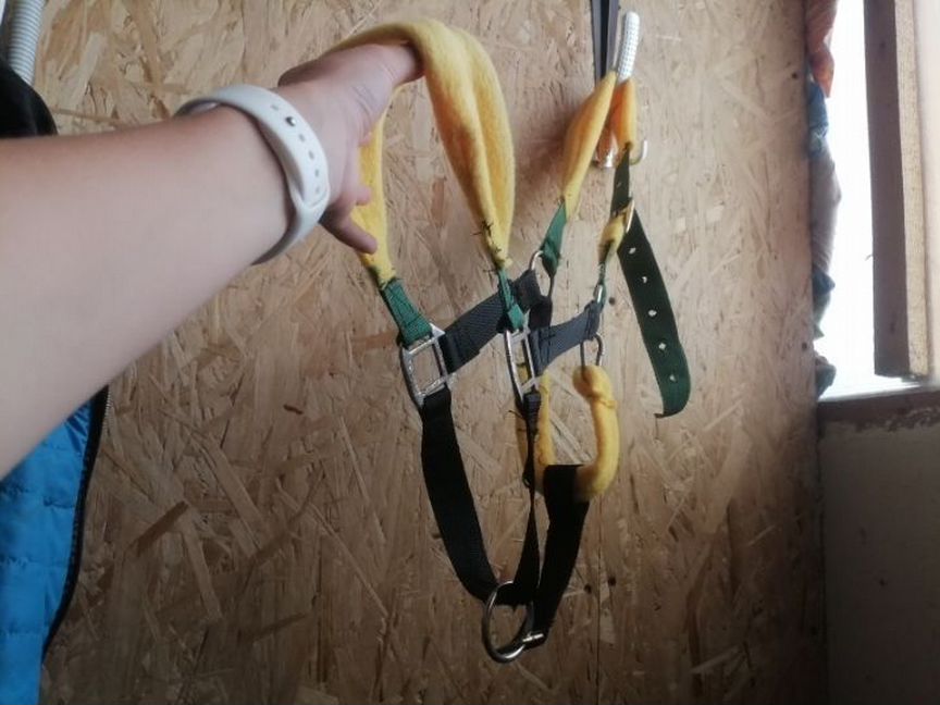 Недоуздок для лошади