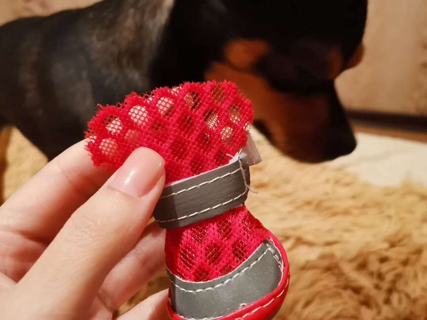 Ботинки для маленьких собак