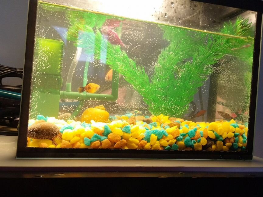 Аквариум, рыбки, фильтр