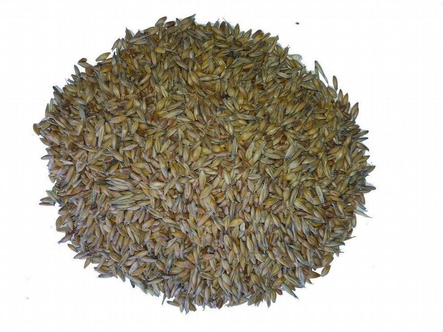 Зерносмесь