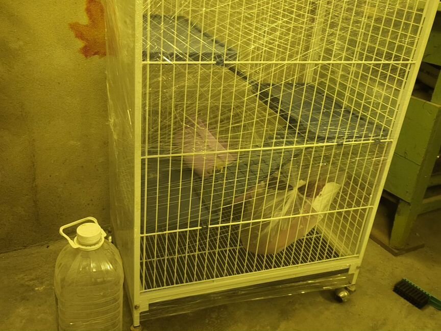 Клетка для шиншиллы, дегу