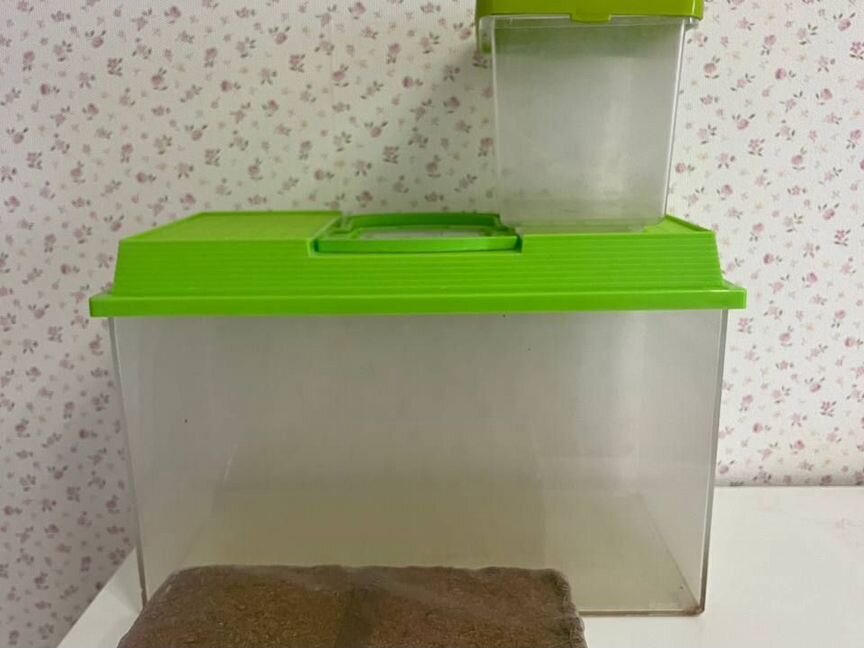 Террариум для рептилий