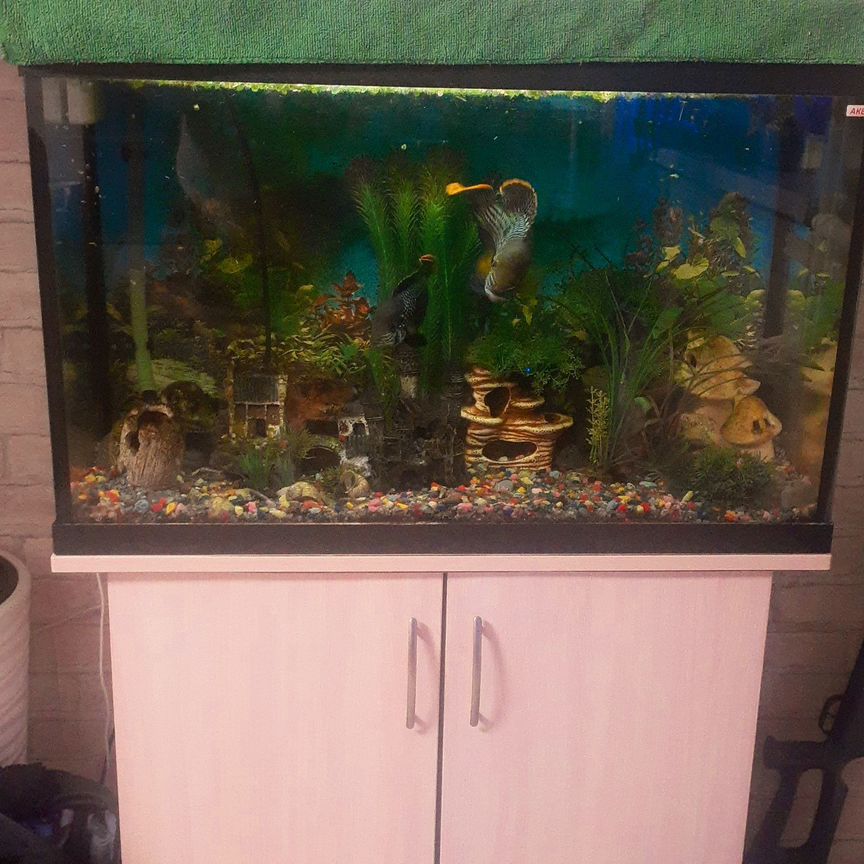 Аквариум 100 литров