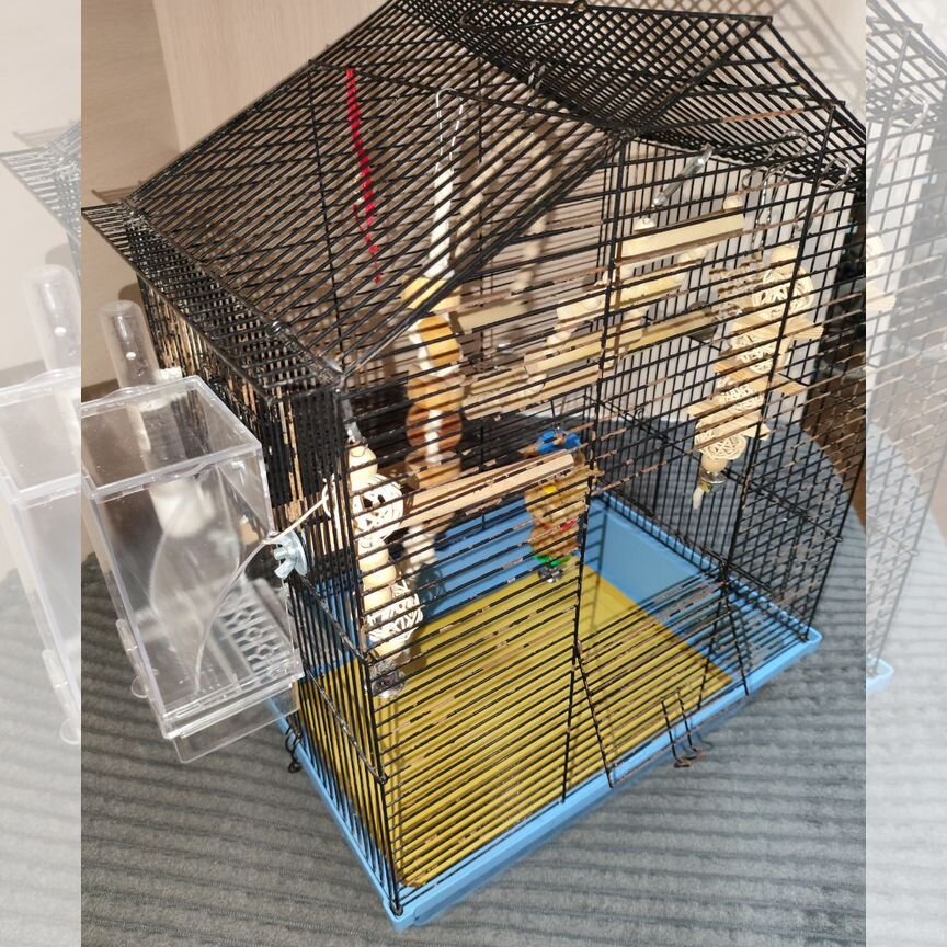 Клетка для попугая