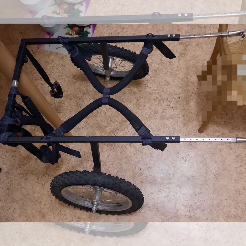 Тележка инвалидная для собак