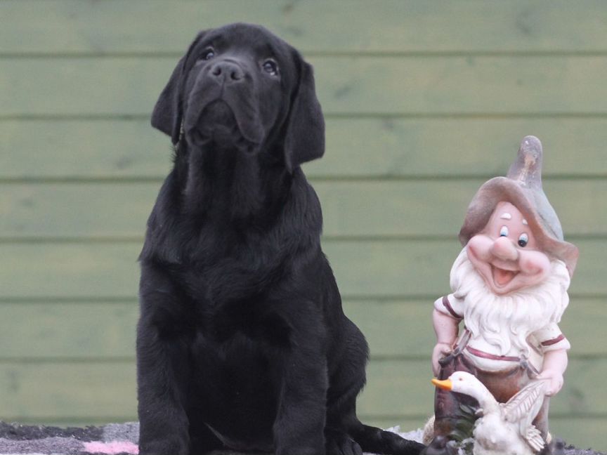 Перспективаная чёрная девочка