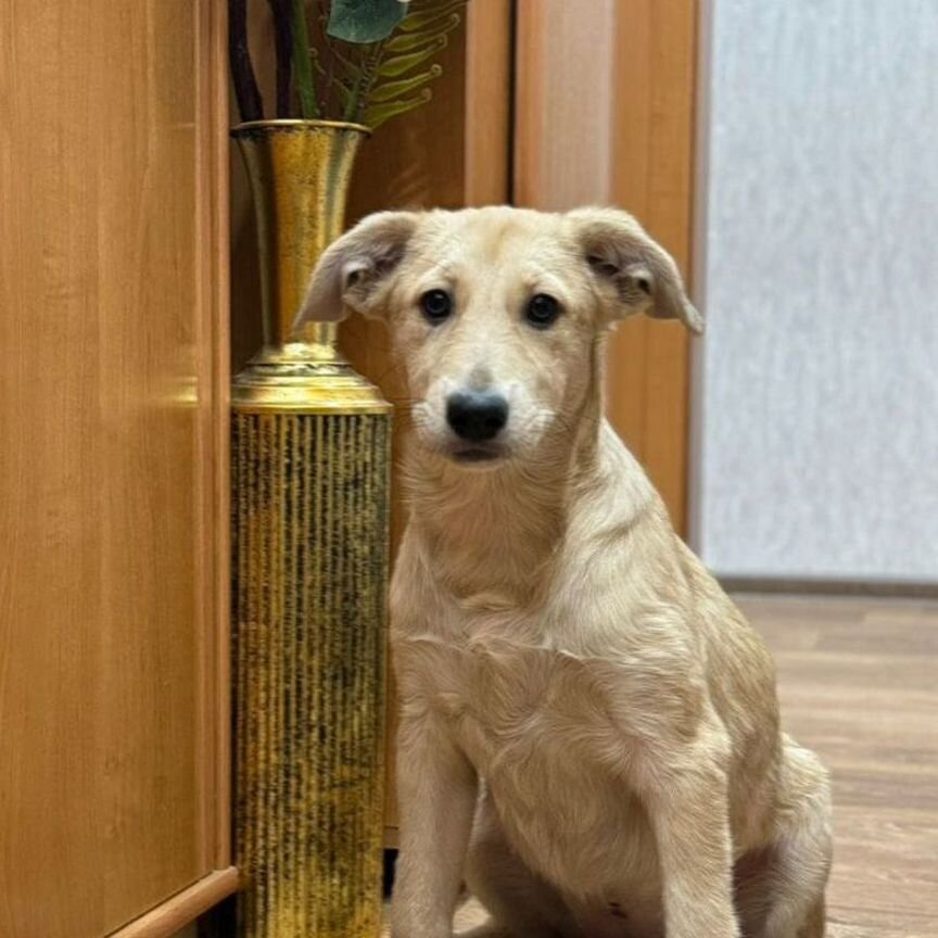 Милаха ждёт тебя