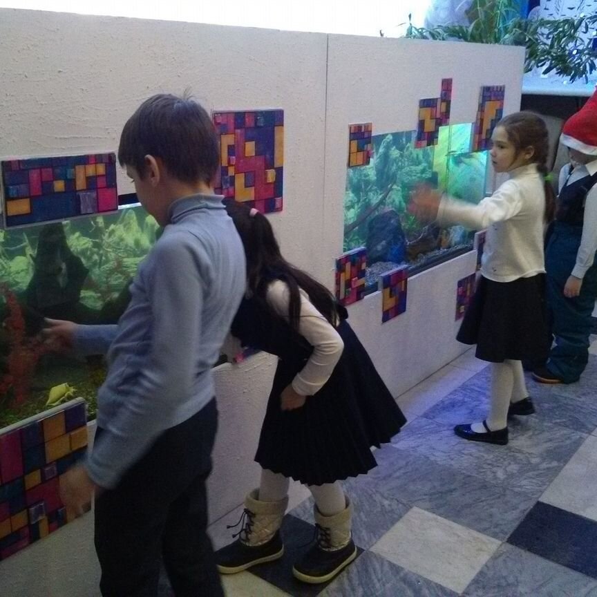 Изготовление аквариумов на заказ