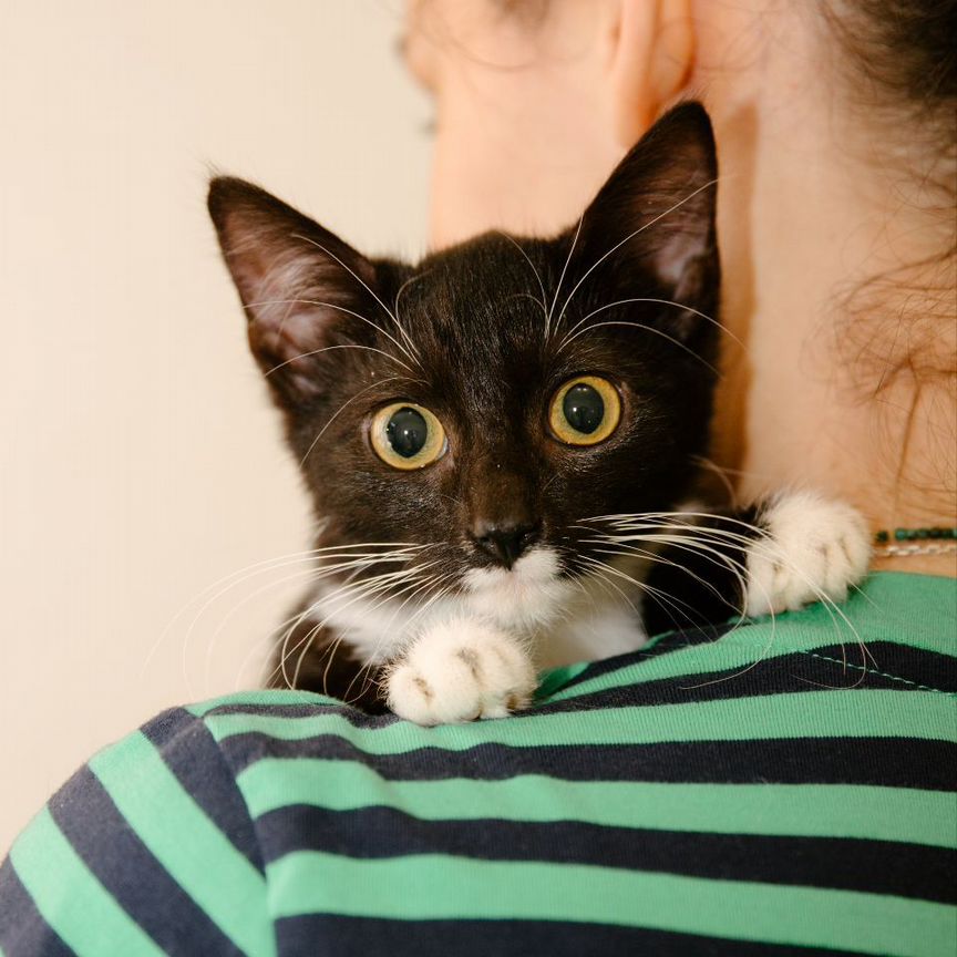 Очень славная и нежная малышка