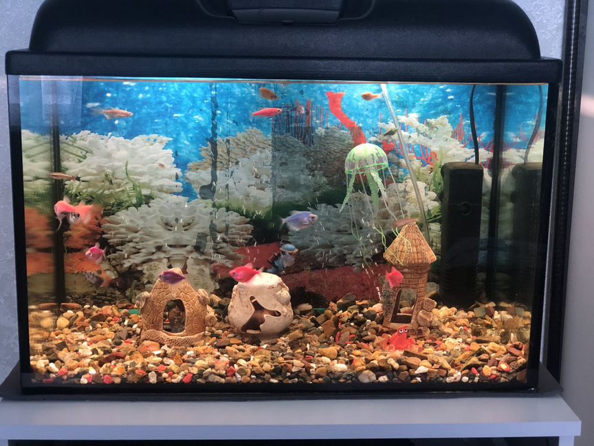 Аквариум