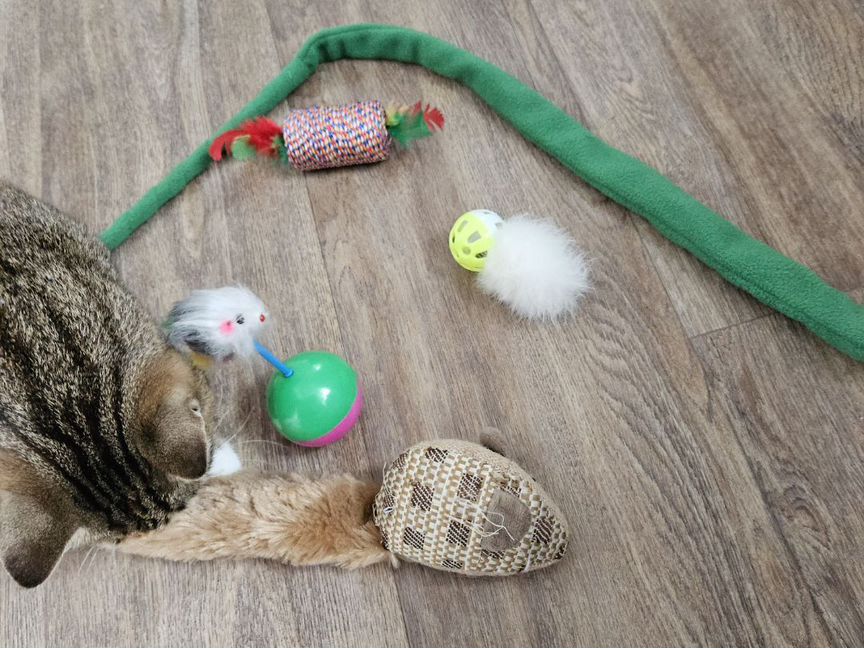 Игрушки для кошек