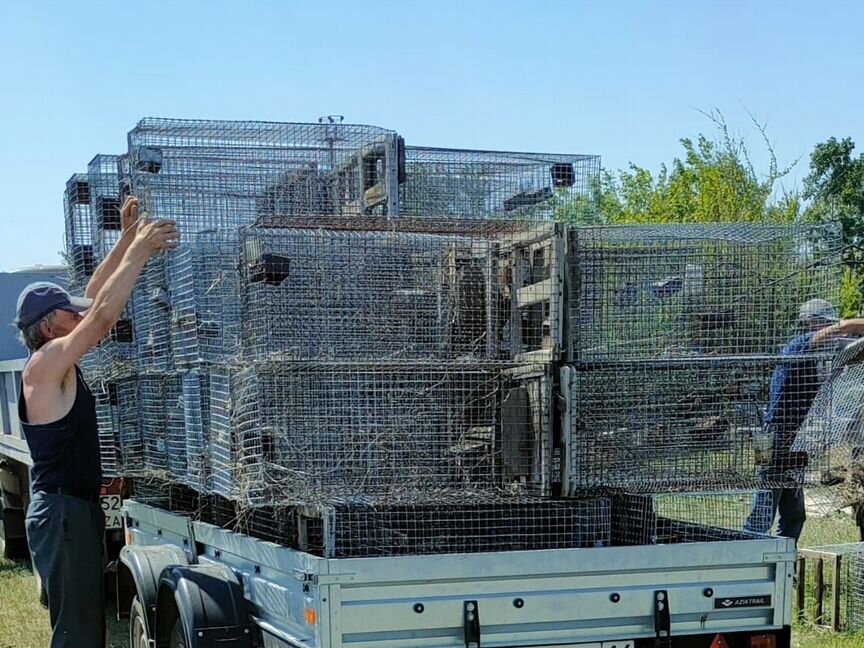 Клетки для кроликов