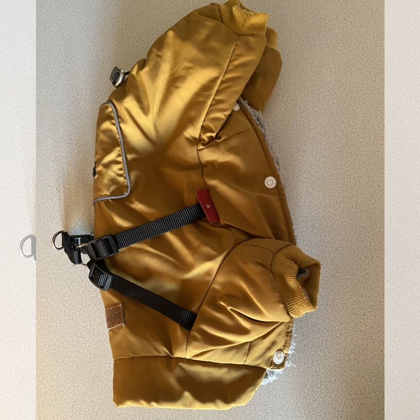 Одежда для собак мелких пород