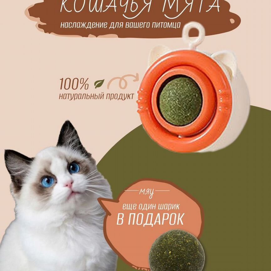 Кошачья мята