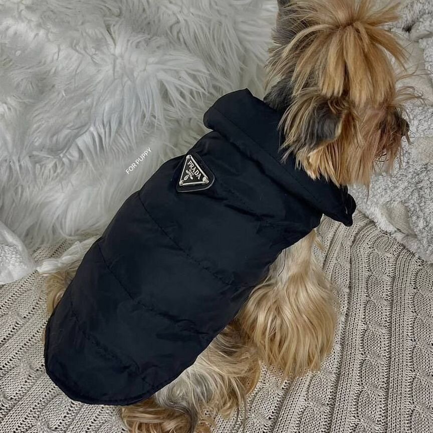 Жилетка для собак S; M - одежда для собак