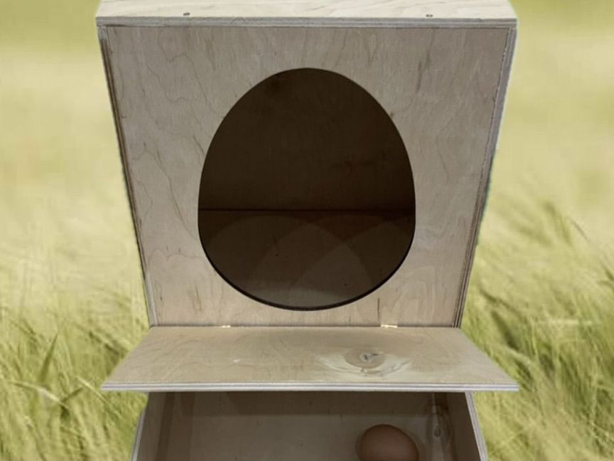 Гнездо для кур несушек с яйцесборником