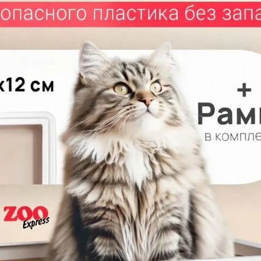 Лоток для кошек, с высоким бортиком