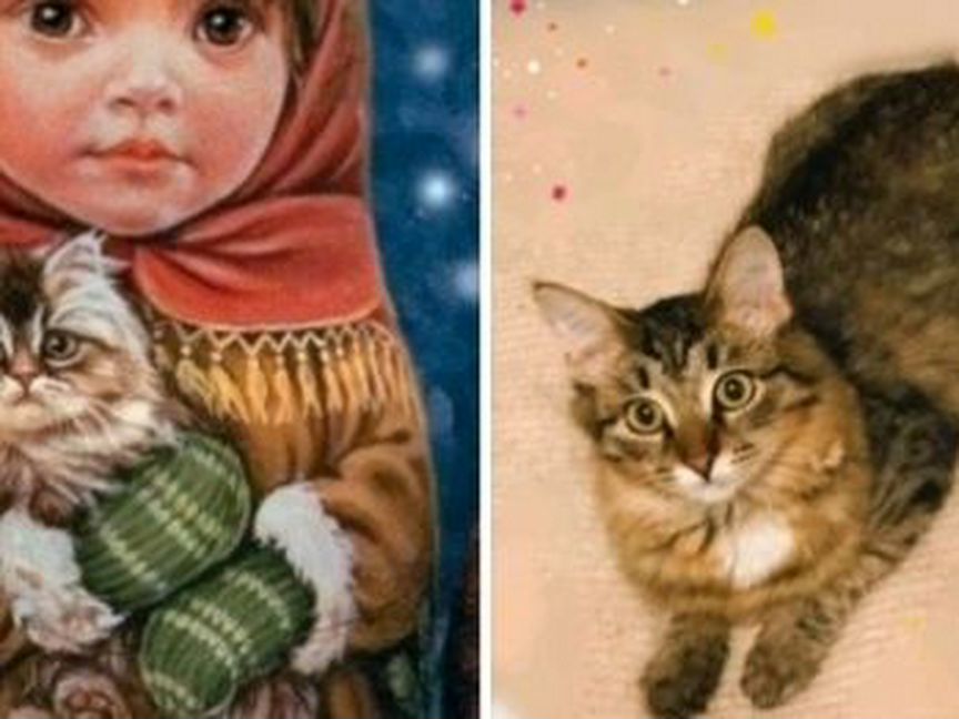 Котëнок девочка в добрые руки